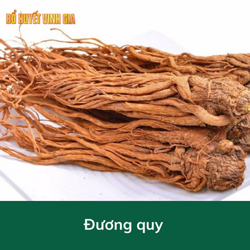 Đương quy và tác dụng dưỡng huyết, bổ huyết
